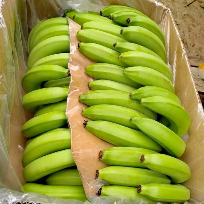 About Us | Globalban